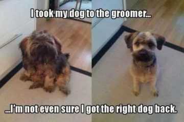 40 Hilarious Winter and Snow Memes for When You're Freezing Your Face Off