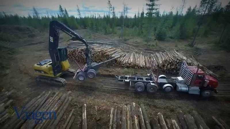 Start To Finish Logging And A Tour Through The Sawmill - Pretty Great ...