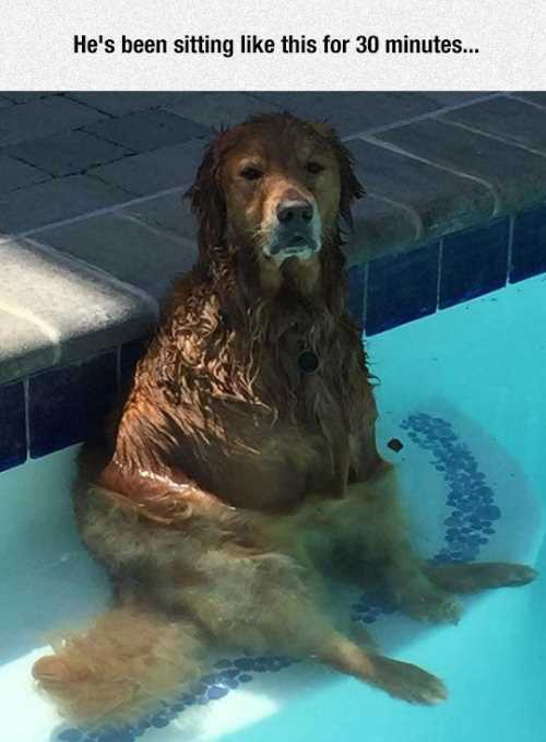 37 Funny Pictures That Will Make You laugh.