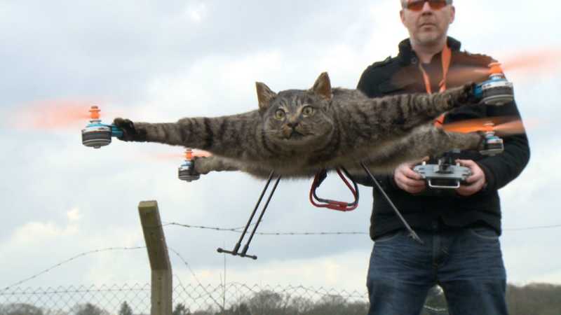 Taxidermy Animal Drones - From Copter-Company - Yes These Are Real.