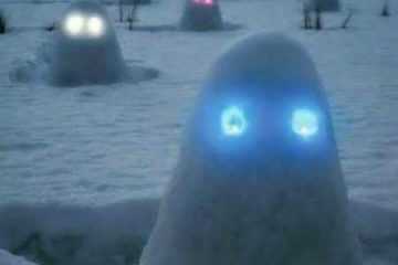 24 Funny Animal Memes To Help You Procrastinate