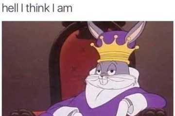 32 Hilarious New Memes to Keep You Laughing