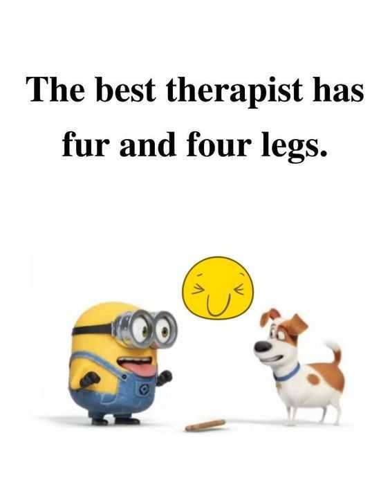 31 Funny Laugh Out Loud Minions