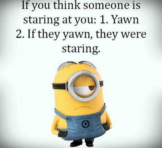 31 Funny Laugh Out Loud Minions