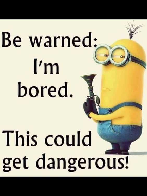 31 Funny Laugh Out Loud Minions