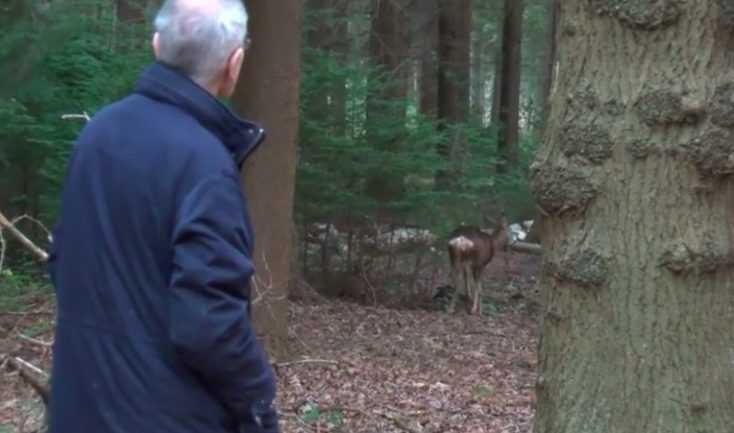 This Rescue Worker Put His Life On The Line To Rescue The Life Of A ...