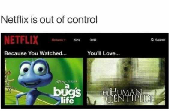 Bug Feature Memes