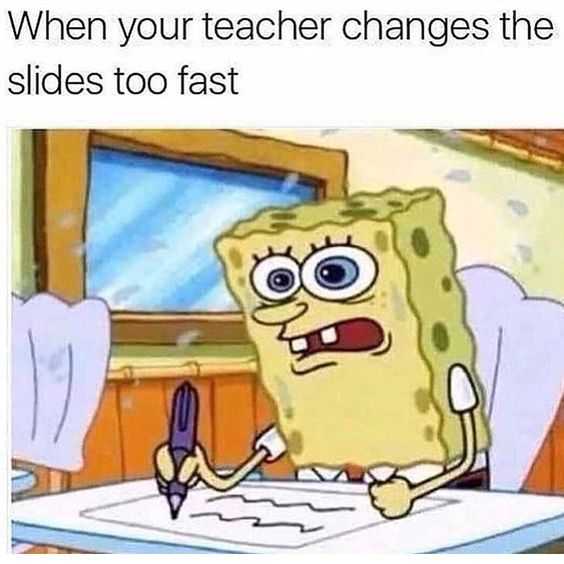 18 Funny Pictures Memes 2019 Cartoon BosQ Wallpaper
