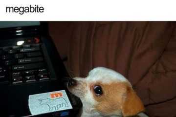 22 Of The Funniest Pictures Ever