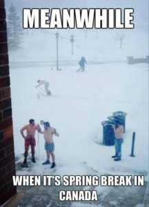 32 Funny Spring Break Memes - The Funny Beaver