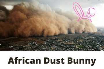 21 Snappy and Funny Quotes