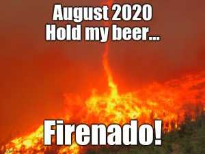 30 Funny Wildfire Memes That Will Burn A Hole In Your Retina