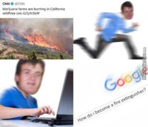 30 Funny Wildfire Memes That Will Burn A Hole In Your Retina