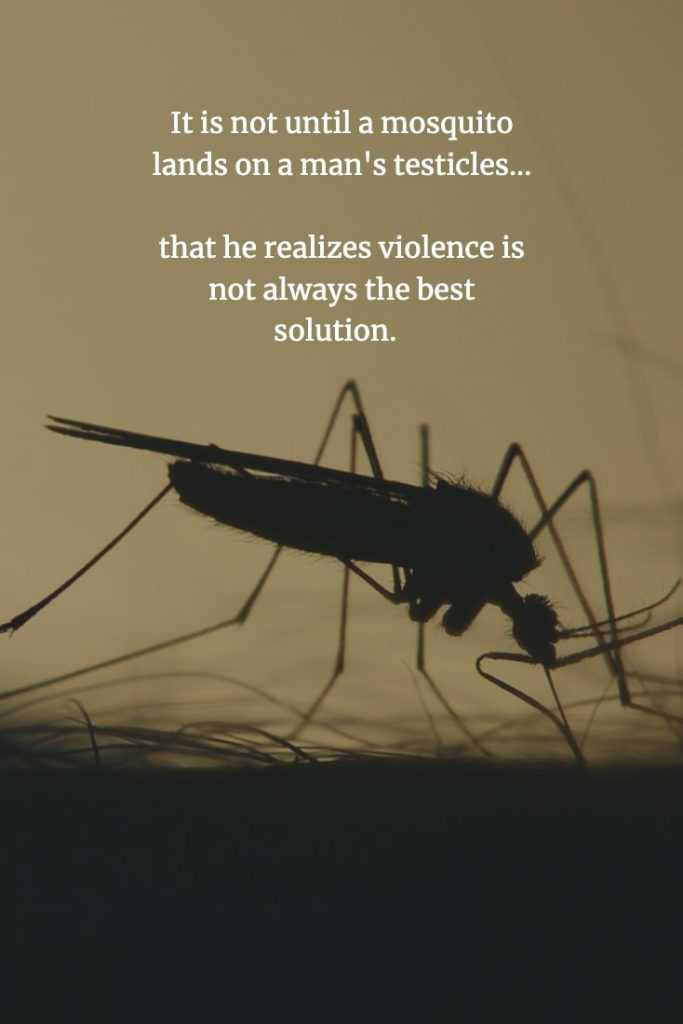 20 Funny Chinese Proverbs To Impart Wisdom And Humour