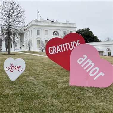 20 Positive And Heartwarming News Stories To Uplift You Midweek