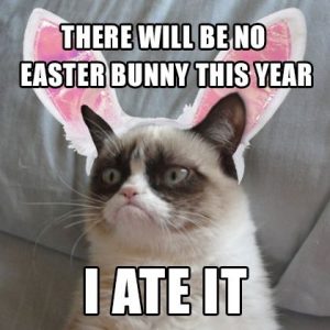 20 Funny Cat Easter Memes Too Cute To Not Share