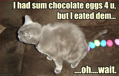 20 Funny Cat Easter Memes Too Cute To Not Share