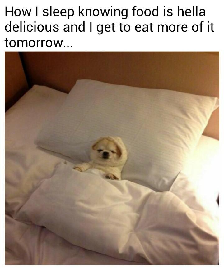 22 Hilarious Food Memes Everyone Can Relate To