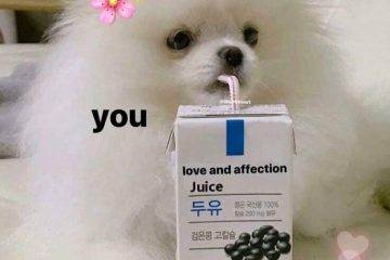 59 Hilarious Pregnancy Memes That Any Parent-to-Be Can Appreciate