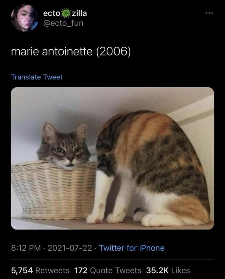 32 Silly Twitter Jokes That Will Absolutely Crack You Up