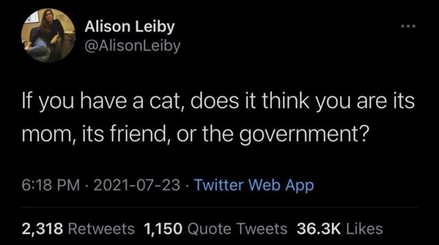 32 Silly Twitter Jokes That Will Absolutely Crack You Up