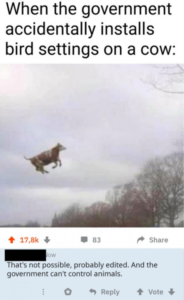 30 Hilarious Times People Missed The Joke And Embarrassed Themselves