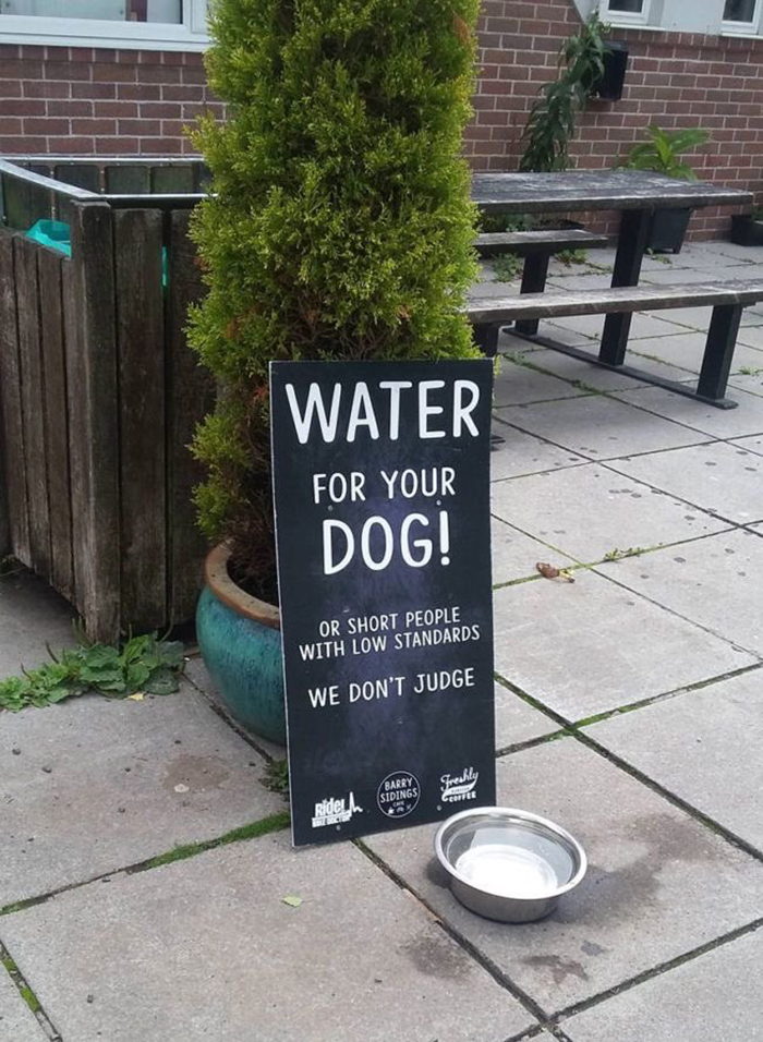 30 Hilarious Times Extremely Funny Signs Were Spotted