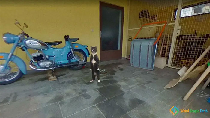 30 Hilarious And Absurd Moments Caught By Google Maps