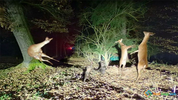 30 Hilarious And Absurd Moments Caught By Google Maps