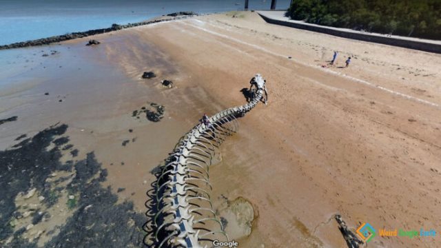 30 Hilarious And Absurd Moments Caught By Google Maps